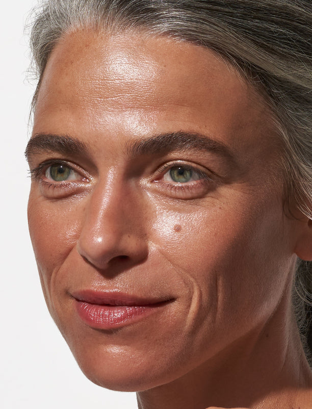 The Forest Retreat – Oio Lab US